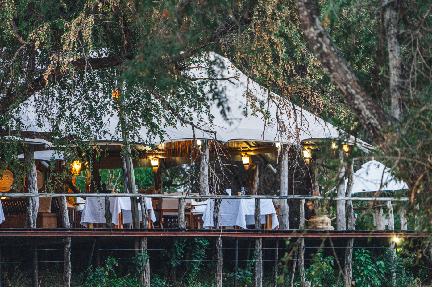 The Ultimate Guide to the Best Africa Safari Country Comparisons - Good ...